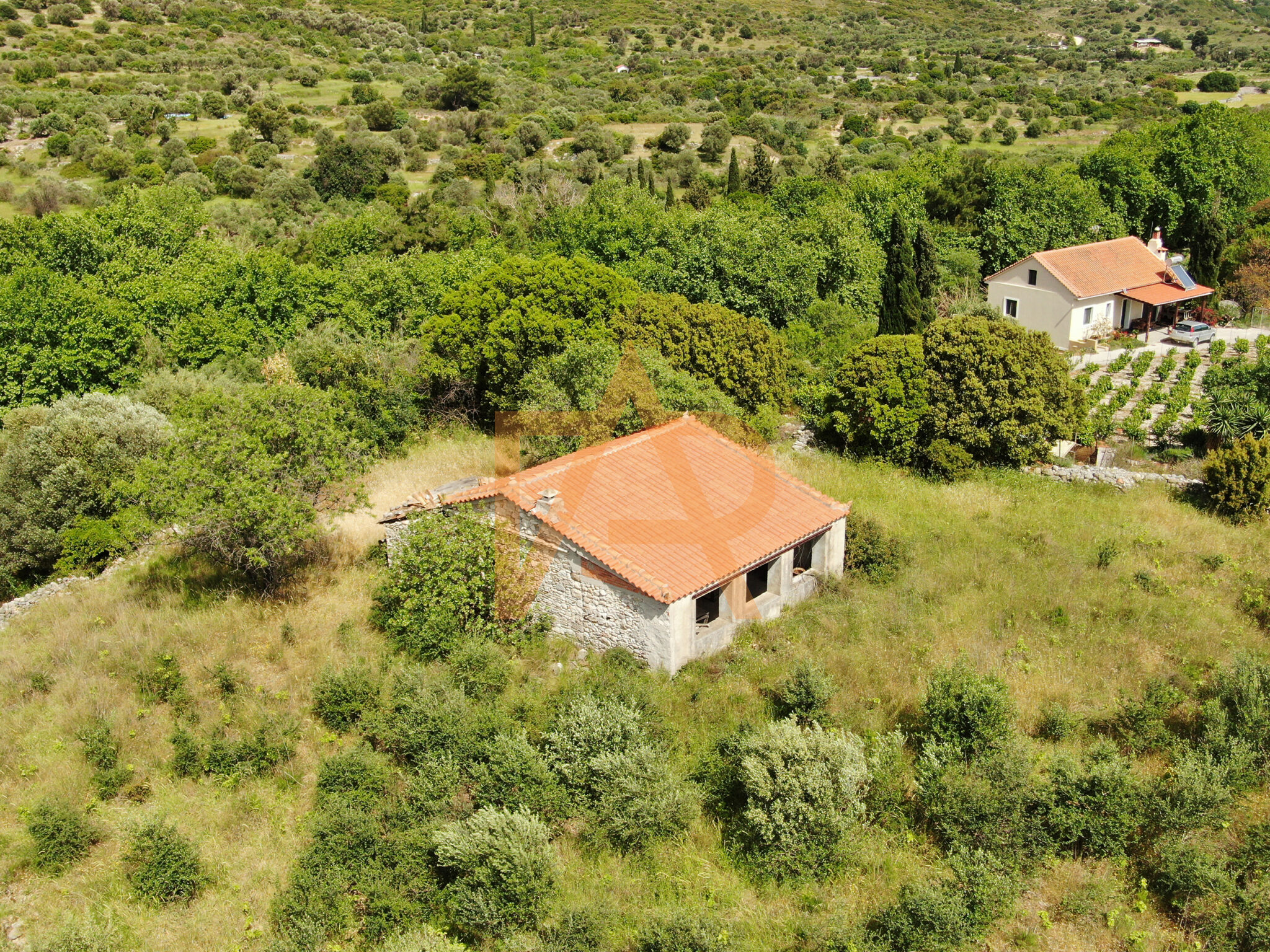 Properties - Properties for Sale Samos | Alpha Project